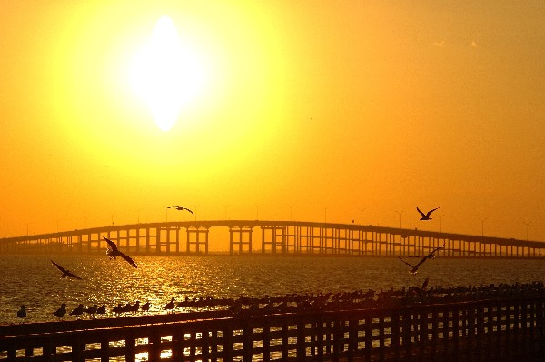 Small Town History 1302 Project: Port Isabel, Texas